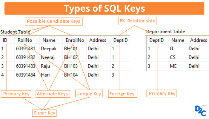 Difference Between Primary Key And Candidate Key Comp - vrogue.co Difference Between Primary Key And Candidate Key Comp - vrogue.co