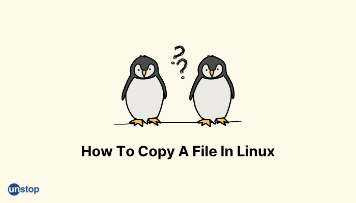 How To Copy A File In Linux Linux Cp Command Unstop 9791