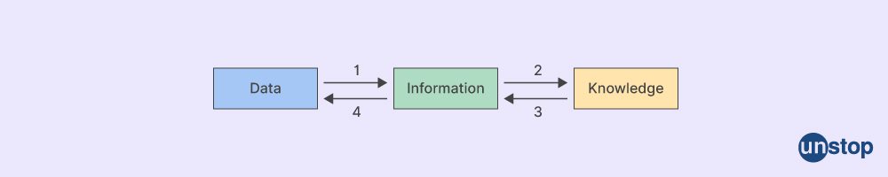 Key Differences Between Data & Information Explained // Unstop ...