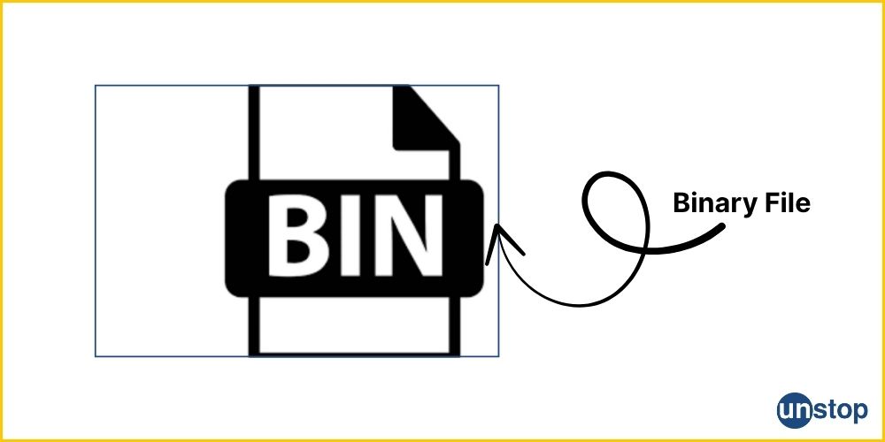 Text Vs. Binary Files: Understanding Differences & Use Cases // Unstop Text Vs. Binary Files: Understanding Differences & Use Cases // Unstop