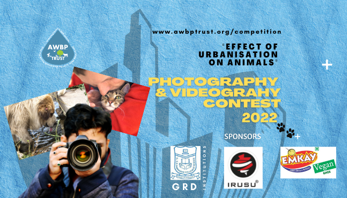 Photography and Videography Contest 2022 by Animals Water Bowl Project ...